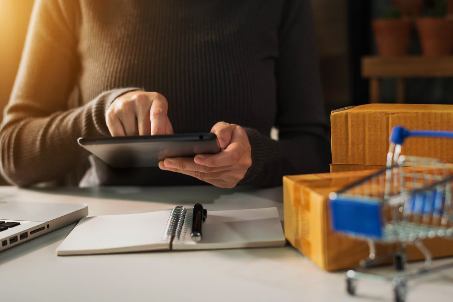Finance and back office operations for a global e-commerce logistics ...